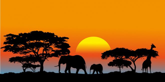A vida selvagem na savana africana: os animais icônicos e a beleza do ...