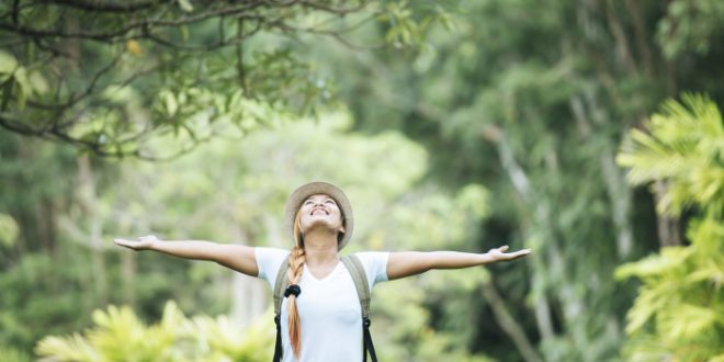 Natureza e Saúde Humana: A Conexão com o Ambiente Natural | Mundo Ecologia