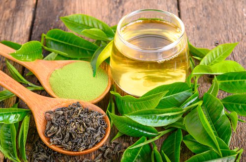 Os Incríveis Benefícios do Chá Verde para a sua Saúde | Mundo Ecologia