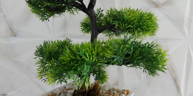 Pinheiro Pequeno: Charme Interno | Mundo Ecologia